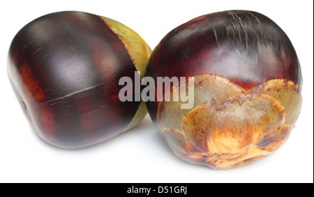Borassus flabellifer or Tal fruit of Indian subcontinent Stock Photo ...