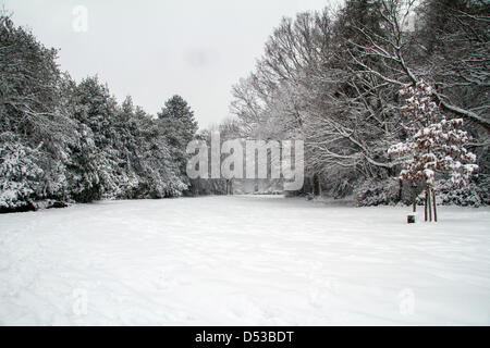 Sheffield, UK. 23rd March 2013. Snow plow at work clearing snow form ...