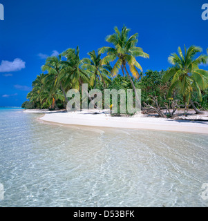 Tropical Island from the sea, Aitutaki Atoll, Cook Islands Stock Photo ...