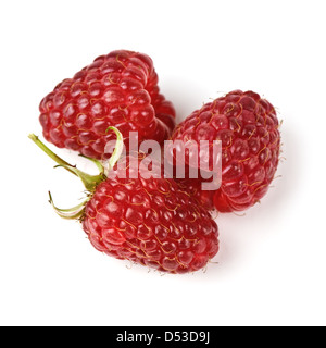 Ripe raspberry isolated on a white background Stock Photo - Alamy