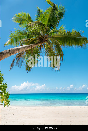 Anse Intendance beach on Mahe island, Seychelles Stock Photo - Alamy