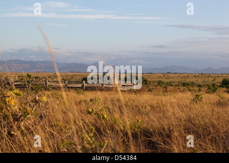 Savanna Grasslands, with Kanuku Mountains. North Rupununi. November ...