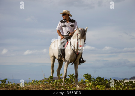Costa Rican cowboy riding his horse on the beach in Jaco, Costa Rica ...