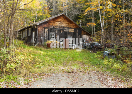 Old tar paper shack in the woods Stock Photo - Alamy