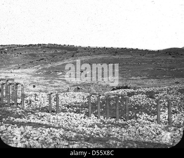 This photograph shows the ruins of Jerash, an ancient city in Jordan ...