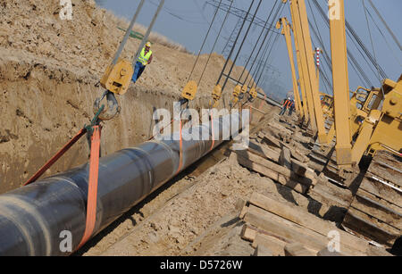 Workers lay a part of OPAL natural gas pipeline near Lubmin, Germany ...