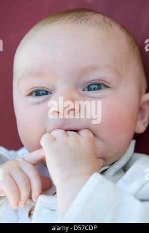 High angle shot of child hand draws a orange pencil Stock Photo - Alamy