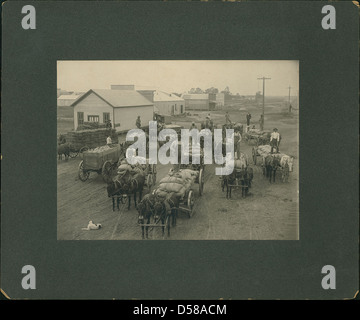 Men on wagons bringing crops to market with photo gallery in background ...