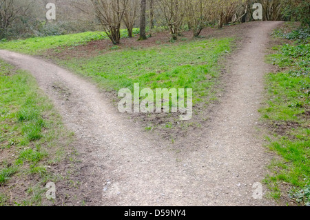 Two paths diverging Stock Photo - Alamy