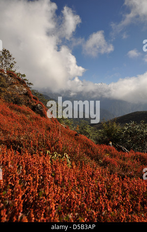 India, Sikkim landscape Stock Photo - Alamy
