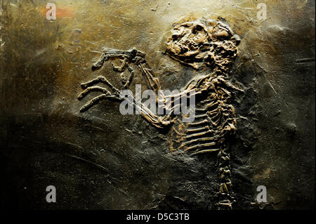 The skeletonized fingers of the hands streched away from the body, the ...