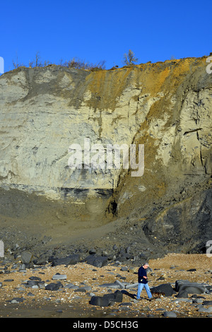 Landslide, unstable cliffs at Charmouth in Dorset, Britain, UK Stock ...