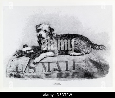 An illustration of Owney, the dog mascot of the Railway Mail Service ...