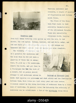 Archive image from page 20 of Description des principaux parcs et Stock ...