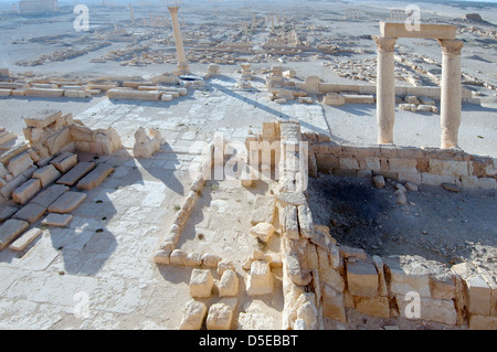 Panorama Palmyra columns and ancient city, destroyed by ISIS, Syria ...