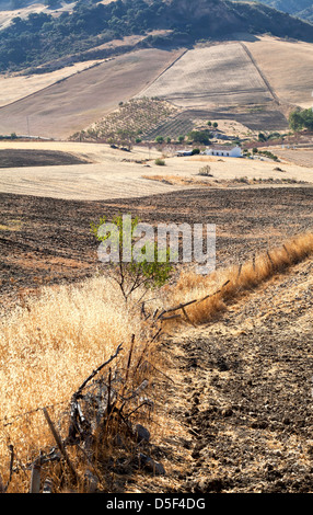 Spanish villa by Montecorto Stock Photo - Alamy