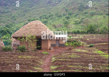 Typical African home hut in Cameroon near Bamenda Stock Photo - Alamy