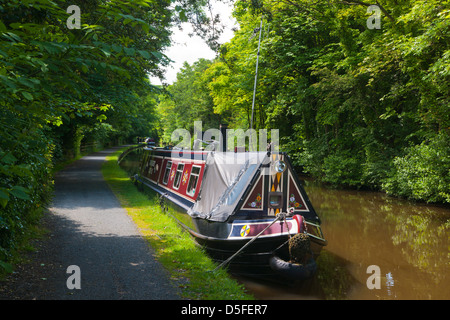 Whaley Bridge Canal Basin, Peak District, England, UK Stock Photo - Alamy