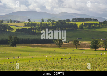 Farming Landscape near Kirkurd, Borders Region, Scotland Stock Photo ...