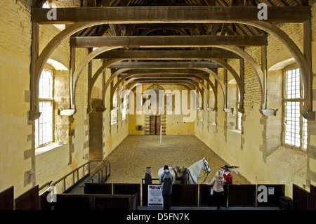 indoor riding hall, Bolsover Castle Stock Photo - Alamy