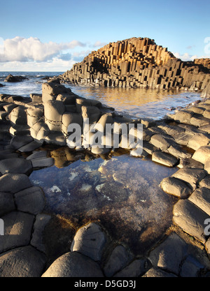 A clear rock pool on the basalt rock formations on the Back Beach near ...