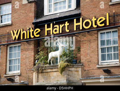 Sign for White Hart hotel, Newmarket, Suffolk, England Stock Photo - Alamy