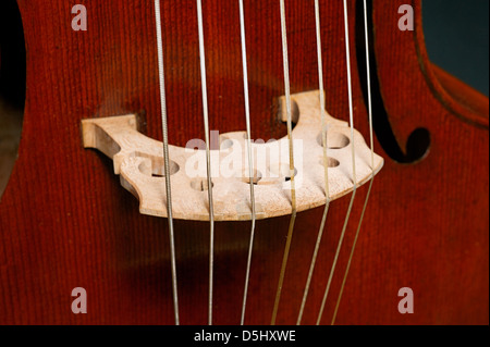 Seven-string bass viola da gamba with inlaid fingerboard and tailpiece ...