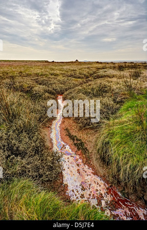 Hoo Peninsula marshes Medway estuary Kent with the remains of a Stock ...
