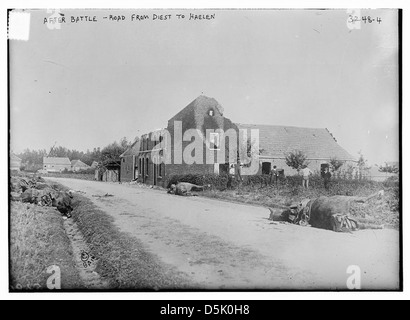 After Battle, Road from Diest to Haelen, Photograph shows dead horses ...