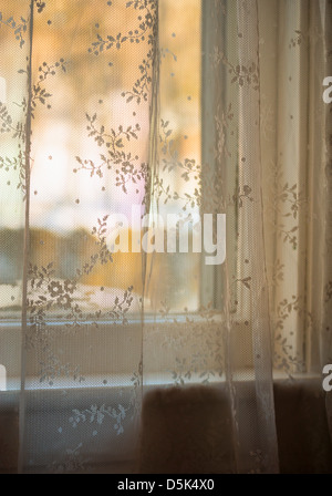 Translucent curtain window Stock Photo - Alamy