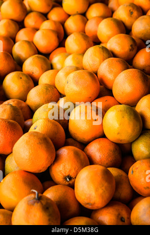 Ripe Florida oranges in a citrus grove Stock Photo - Alamy