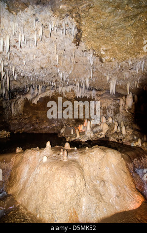 Limestone stalactites and stalagmites in Harrison's Cave, Barbados ...