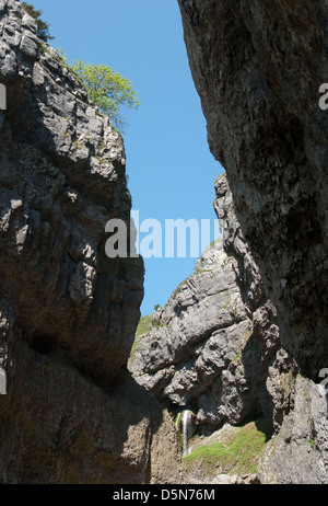 Limestone Rock Formation at Goredale Scar in the Yorkshire Dales Stock ...