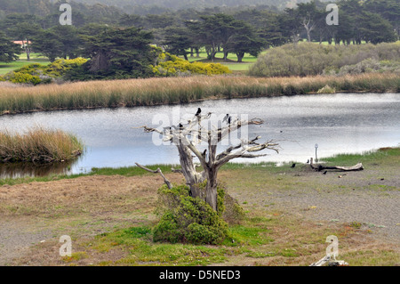 Laguna Salada Lake, Pacifica, California, USA Stock Photo - Alamy
