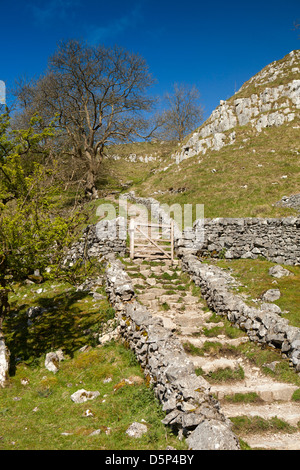 UK, England, Yorkshire, Malham, steps up escarpment to Malham Cove ...