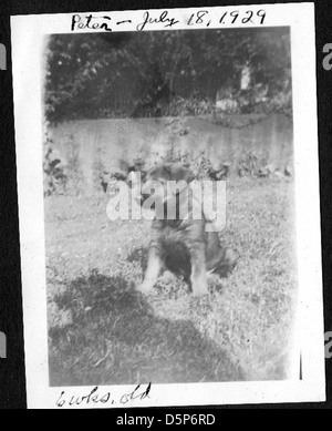 Helen Richey was one of the first female aviators in the United States ...