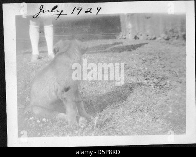 Helen Richey 049 Stock Photo - Alamy