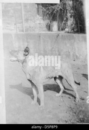 Helen Richey, the first woman to pilot a commercial airliner, is ...