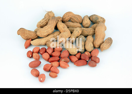 A lot of Peanuts on isolated over white background,focus on foreground ...