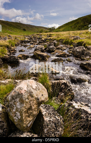The river Tavy in Tavy Cleave, Dartmoor, flowing fast through boulders ...