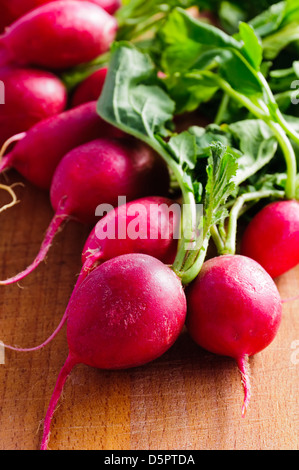 fresh organic red radish with leaves growing Stock Photo - Alamy