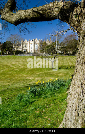 19th century singleton abbey part of swansea university wales uk Stock ...