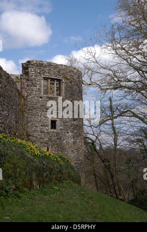 Berry Pomeroy Castle, near the village of Berry Pomeroy, South Devon ...