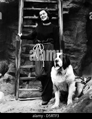 Rosalind Russell Film Tell It To The Judge (1949) Characters: Marsha ...