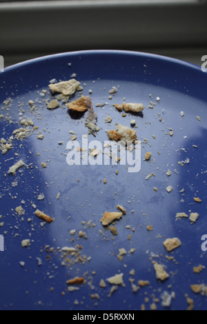 lots of bread crumbs on blue plate by kitchen window Stock Photo - Alamy