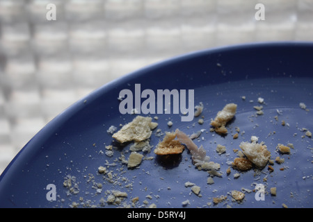 lots of bread crumbs on blue plate by kitchen window Stock Photo - Alamy