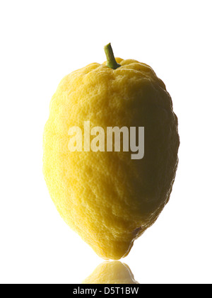 Ripe lemons isolated on white background Stock Photo - Alamy