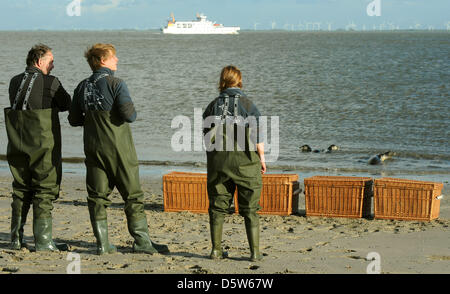 Lene Kemper (L-R), Tim Fetting and Peter Lienau of the seal station in ...