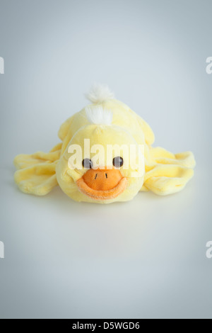 cute yellow baby duck,isolated on white background Stock Photo - Alamy