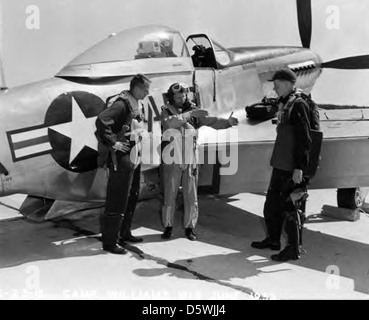 The North American F-51D 'Mustang' of the 119th Fighter Wing, known as ...